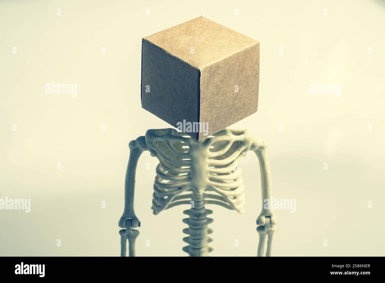 Artificial human body model skeleton with a box on his skull Stock ...