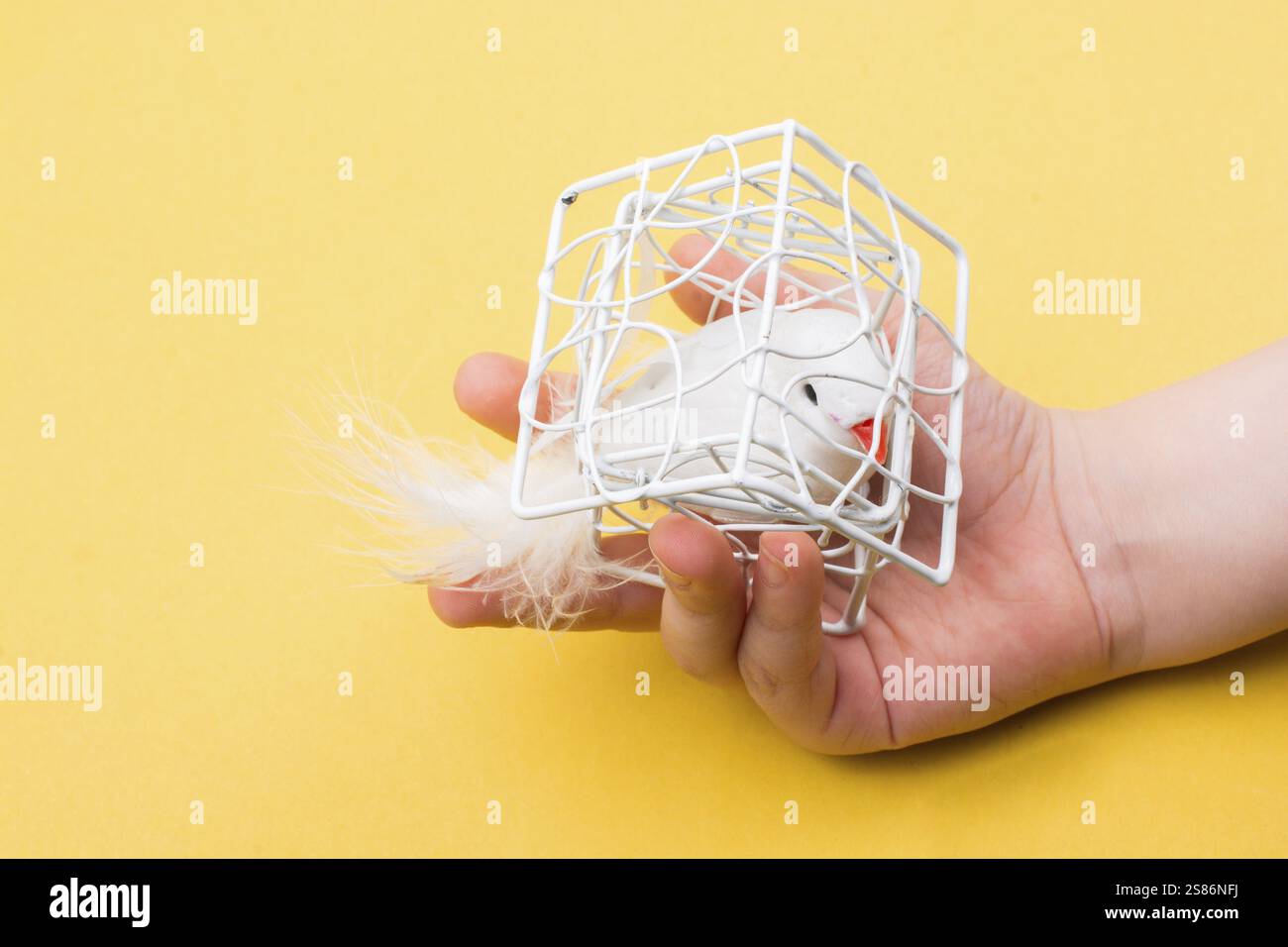 Fake bird locked in a cage in hand Stock Photo - Alamy