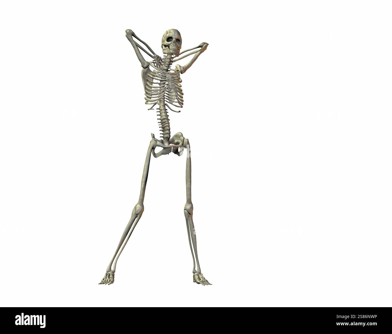 Skeleton photo Cut Out Stock Images & Pictures - Alamy