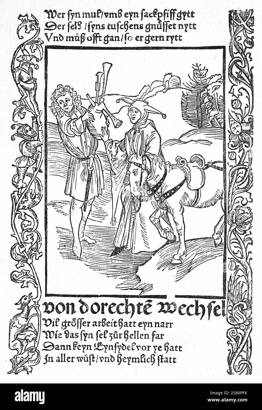 Gesattelten hi-res stock photography and images - Alamy