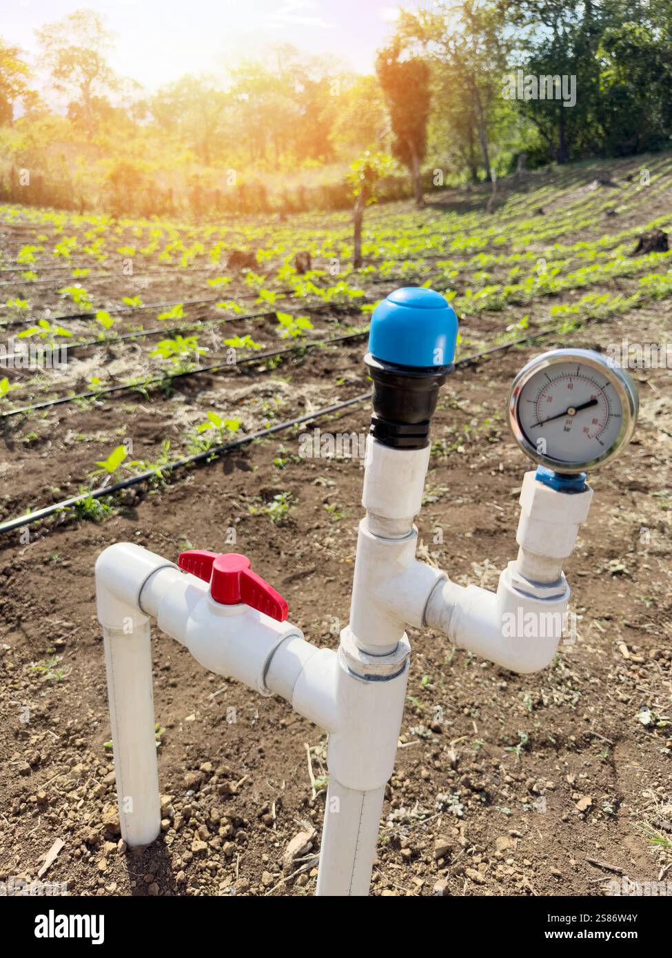 Water pump irriagtion agriculture theme. Sunflower farm field Stock ...