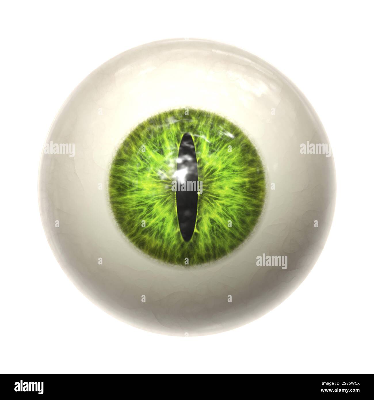 An illustration of a nice green cat eye texture Stock Photo - Alamy