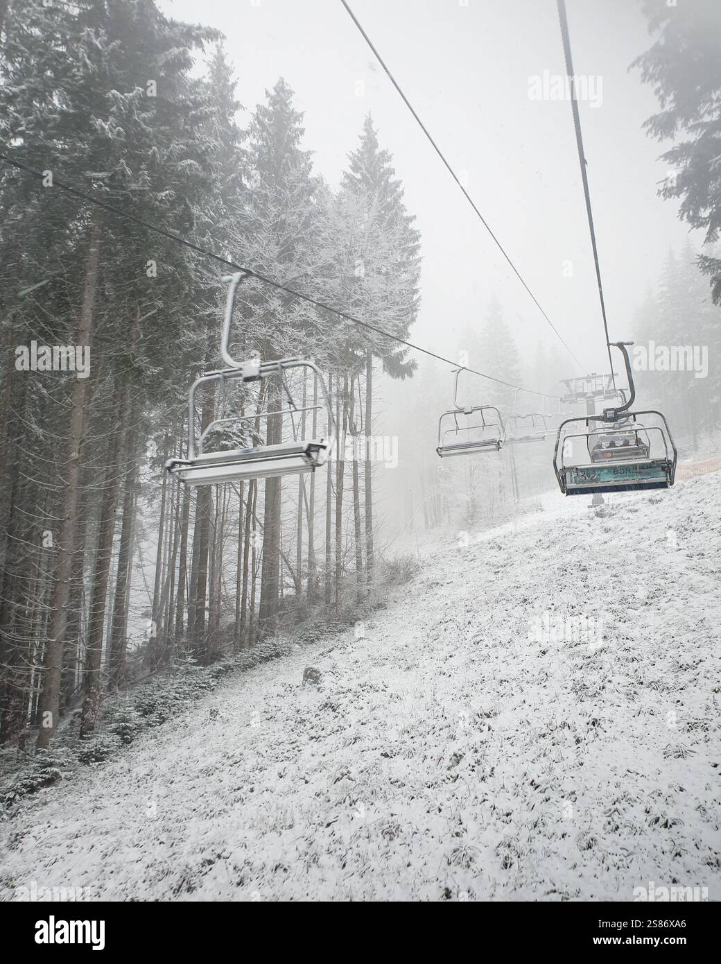 Ski lift between pine hi-res stock photography and images - Alamy