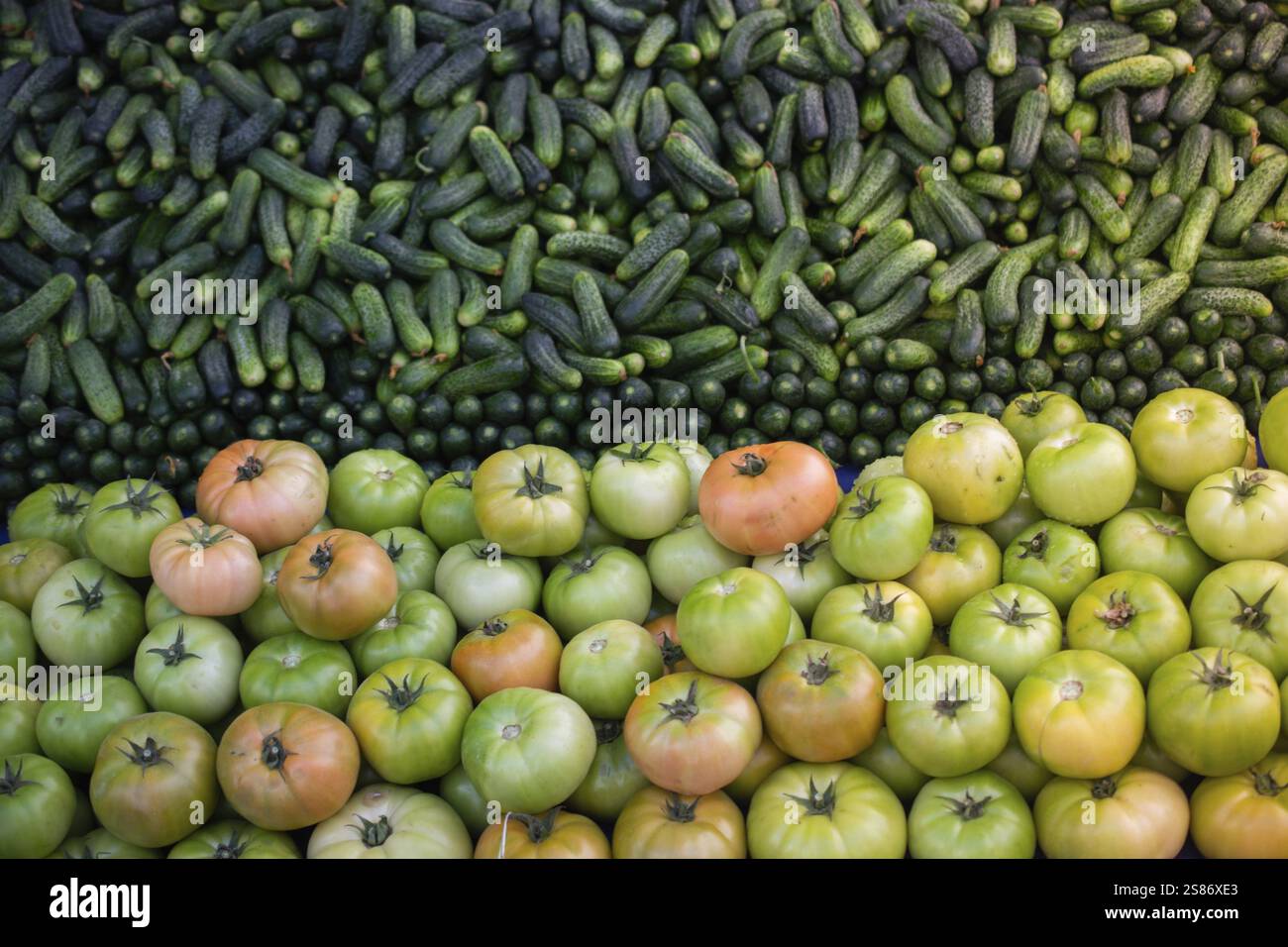 Green unripe fresh tomato and cucumber for food concept Stock Photo - Alamy