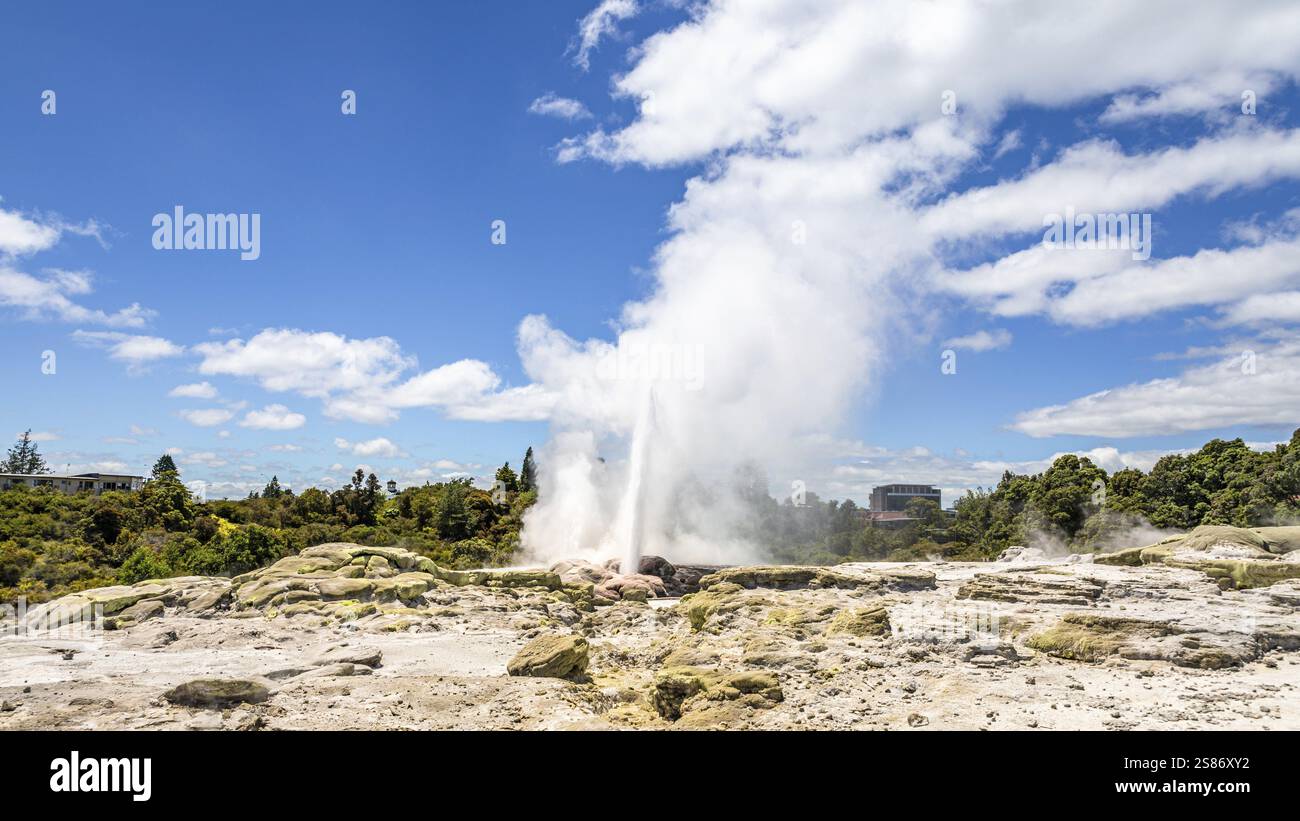 An image of a Geyser in New Zealand Rotorua Stock Photo - Alamy