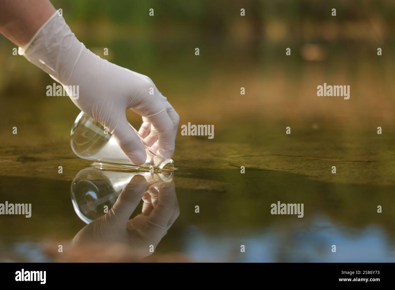 Examination of water quality. Researcher taking water sample from lake ...