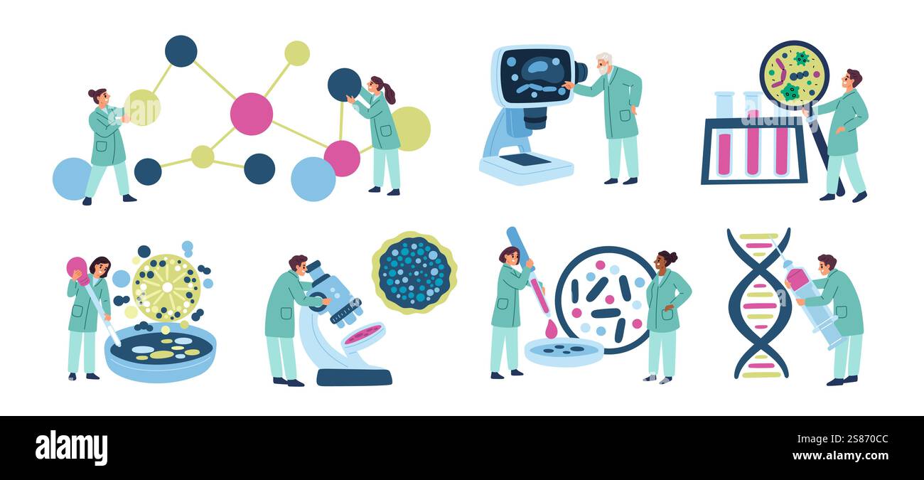 Scientists are conducting experiments. Laboratory work. Different ...