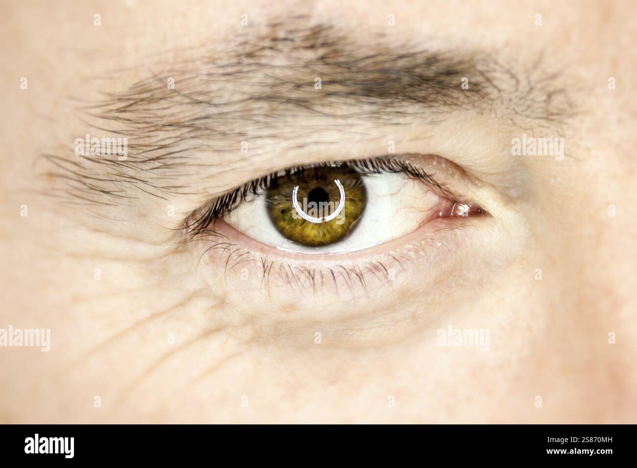 An image of a brown male eye Stock Photo - Alamy