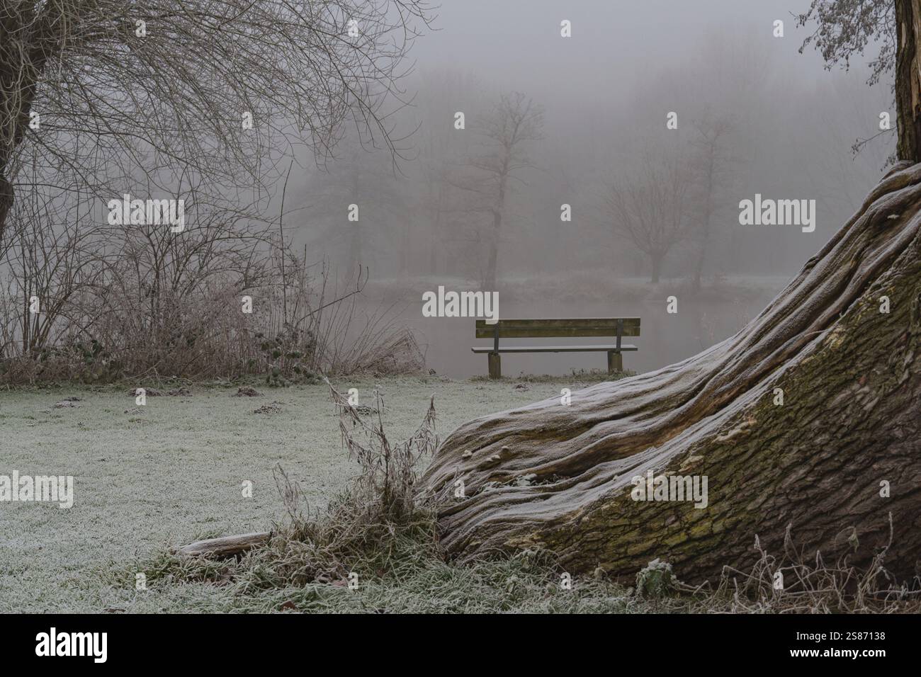Frosty riverside landscape with tree and bench, shrouded in fog and ...