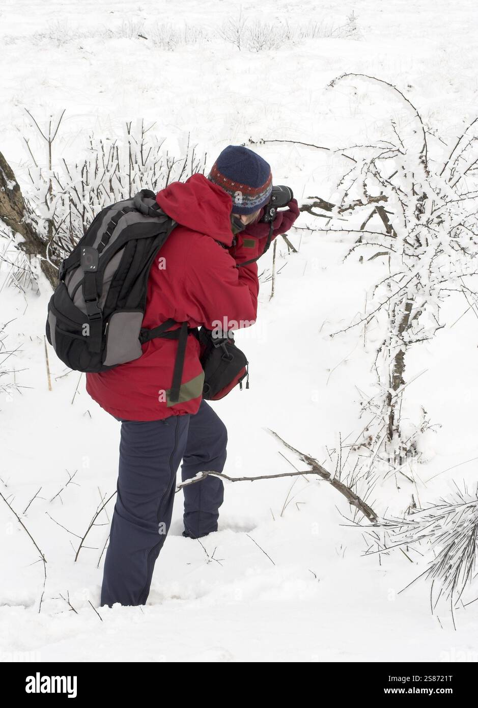 Nature female photographer staying in the snow and making a photograph ...