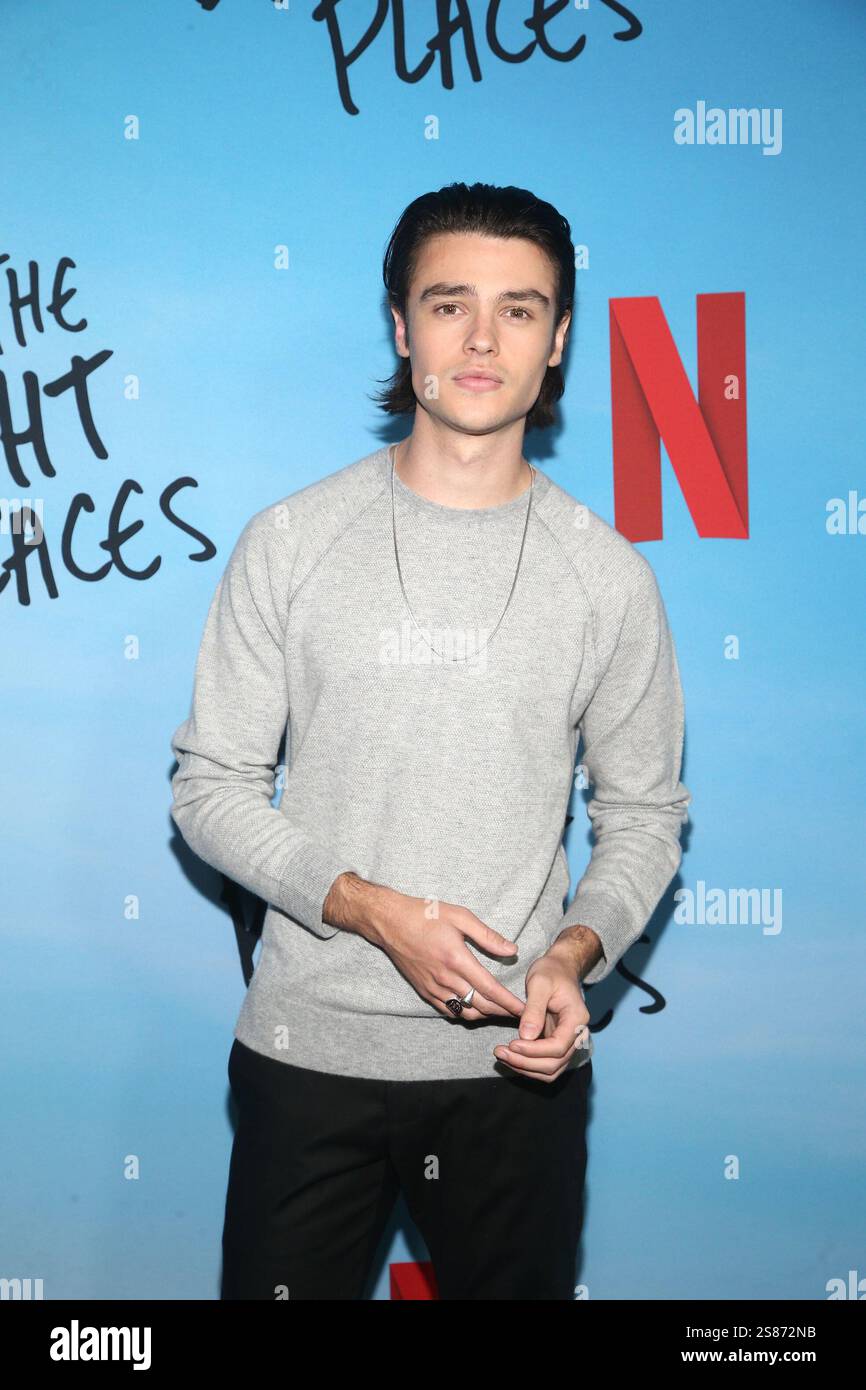 Felix Mallard at the 'All the Bright Places' film special screening ...