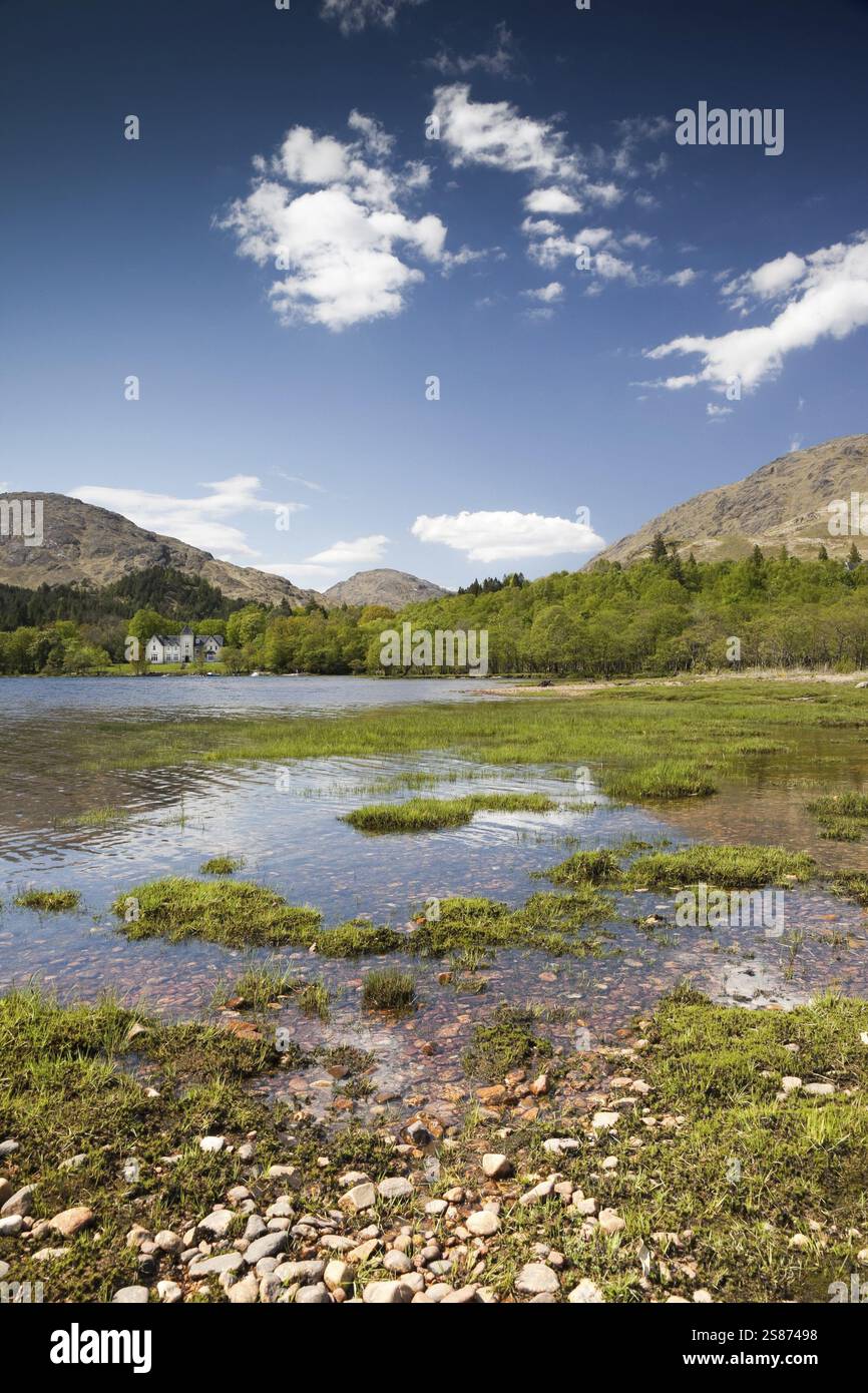 A photography of a typical scottish landscape Stock Photo - Alamy