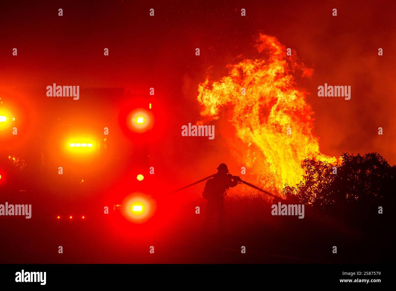 A firefighter sprays water while battling the Lilac Fire near the ...