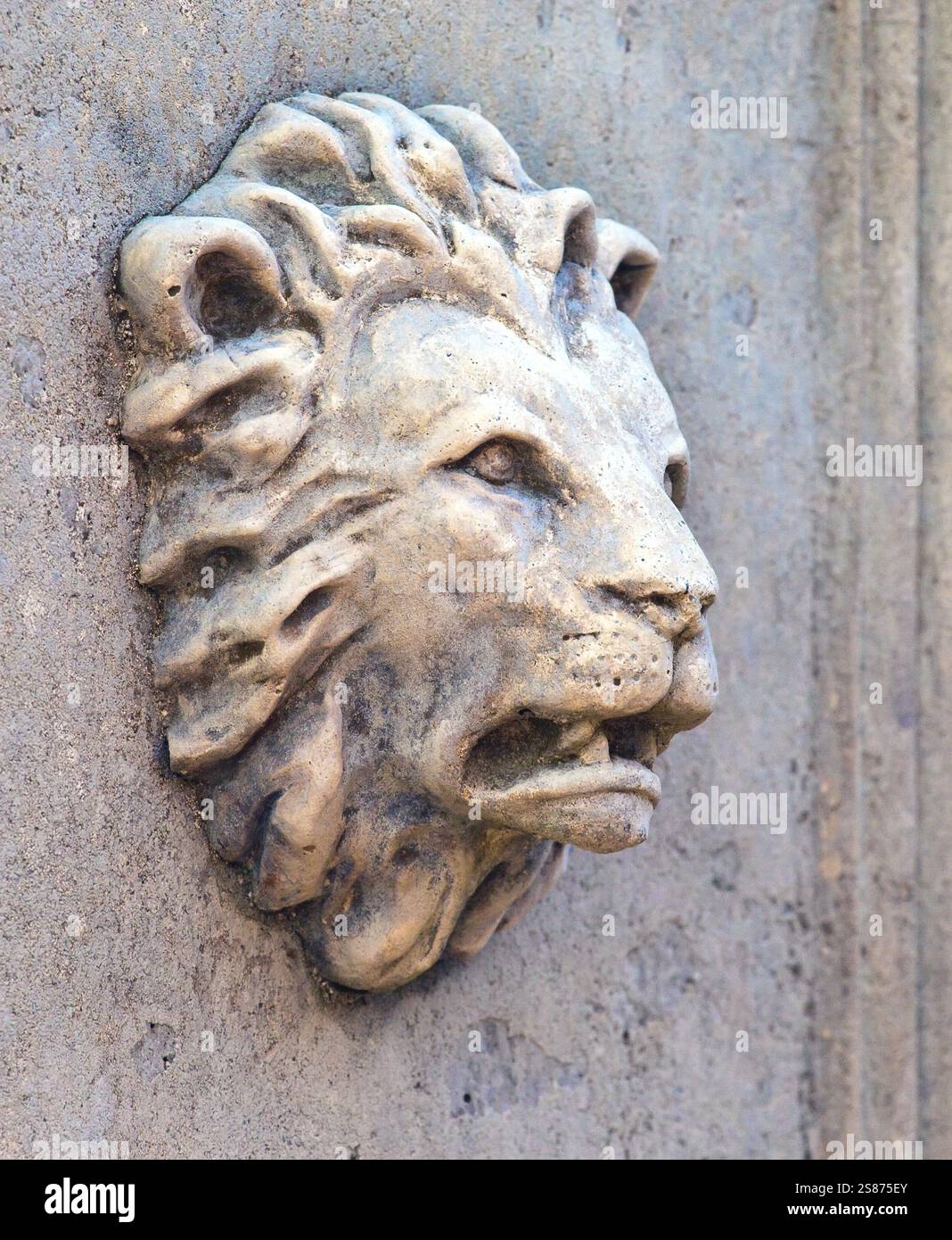 A photography of a beautiful lion head Stock Photo - Alamy