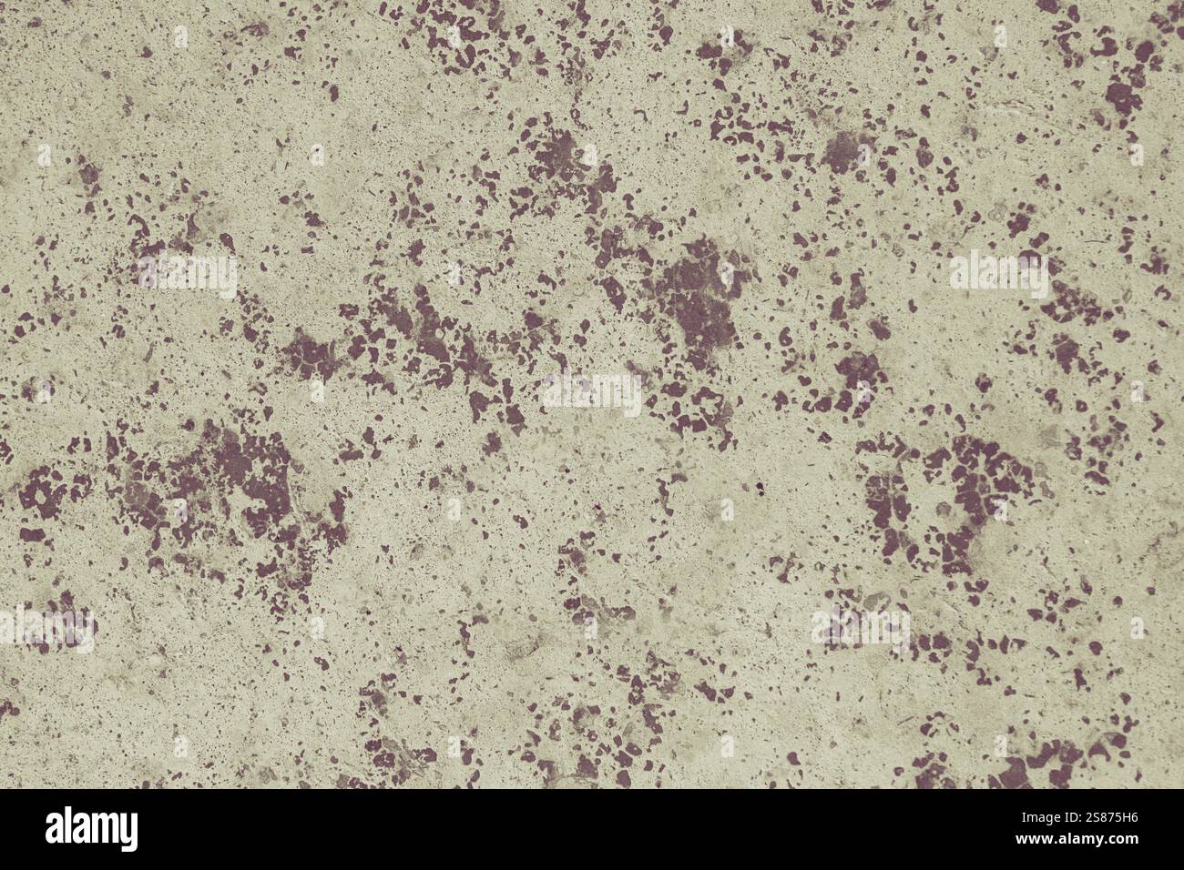 Wall surface as a simple grunge background texture pattern Stock Photo ...