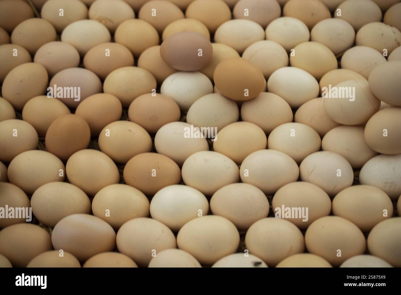 Organic fresh farm eggs at the market place Stock Photo - Alamy