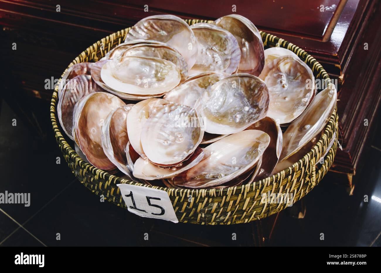 Natural seashell macro texture. Seashells background texture Stock ...