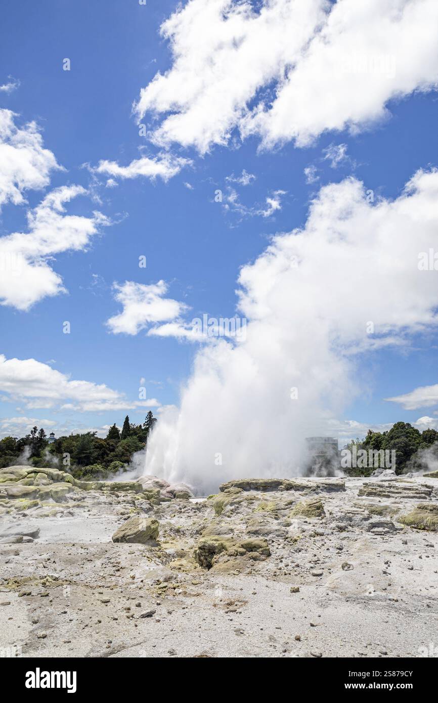 An image of a Geyser in New Zealand Rotorua Stock Photo - Alamy