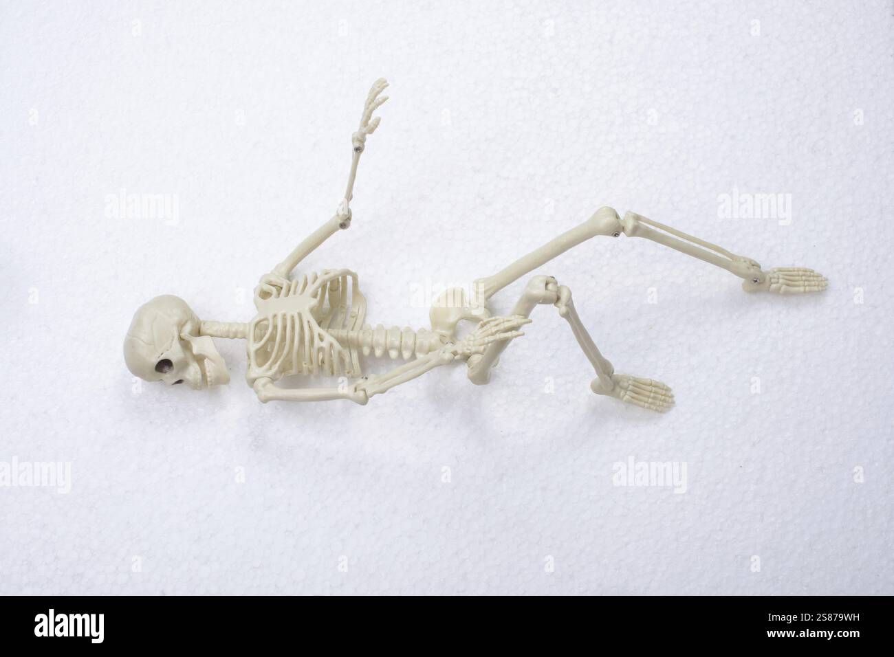 Model of artificial Human Skeleton on gray background Stock Photo - Alamy