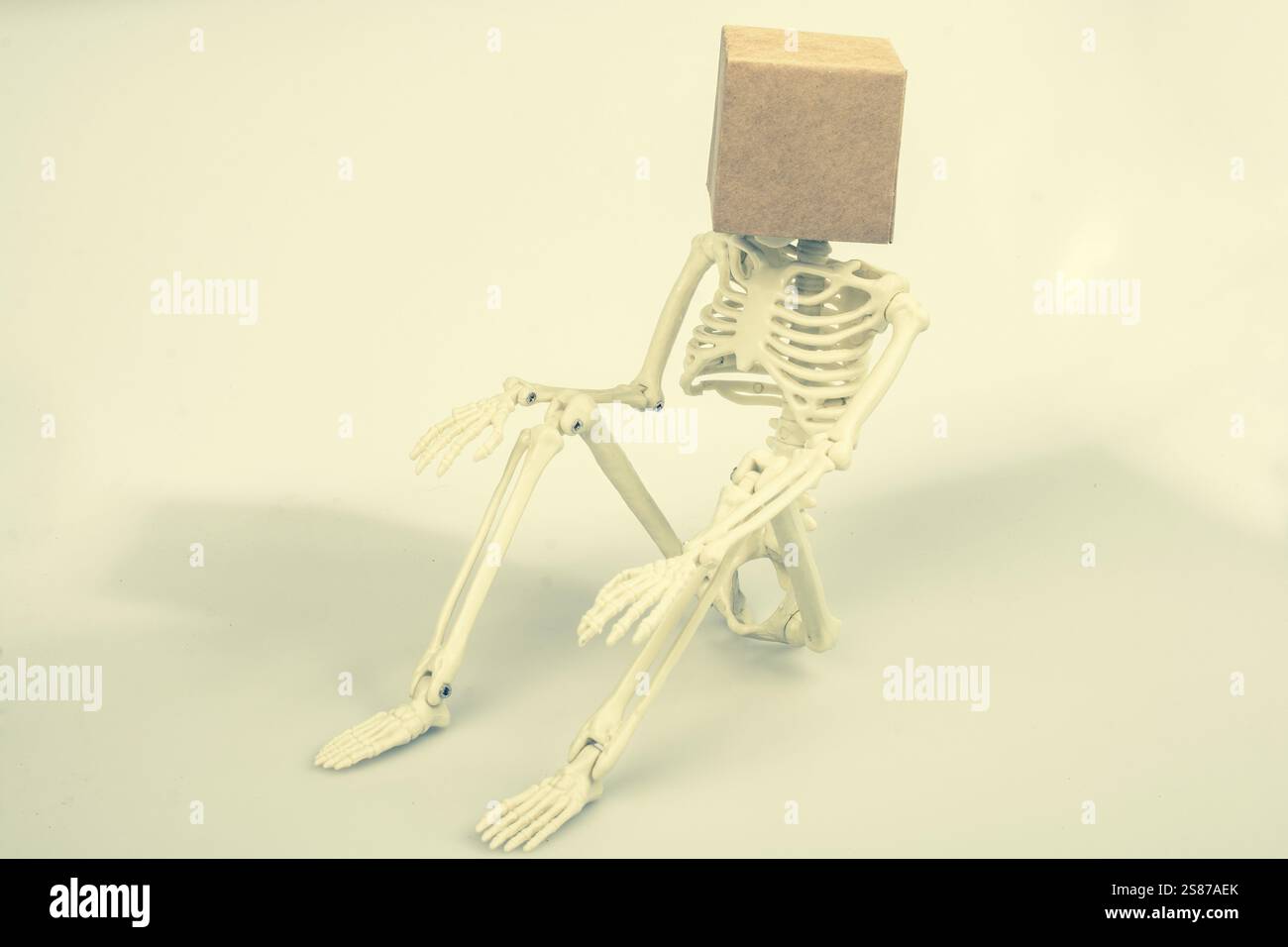 Artificial human skeleton sitting with a box on his skull Stock Photo ...