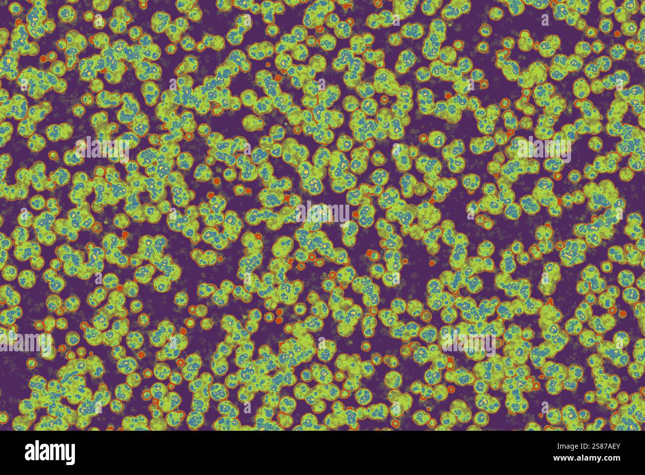 Shape of bacterial cell: cocci, bacilli, spirilla bacteria background ...