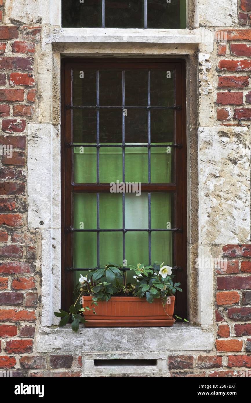 Architecture detail - leaded tracery window in a medieval building ...