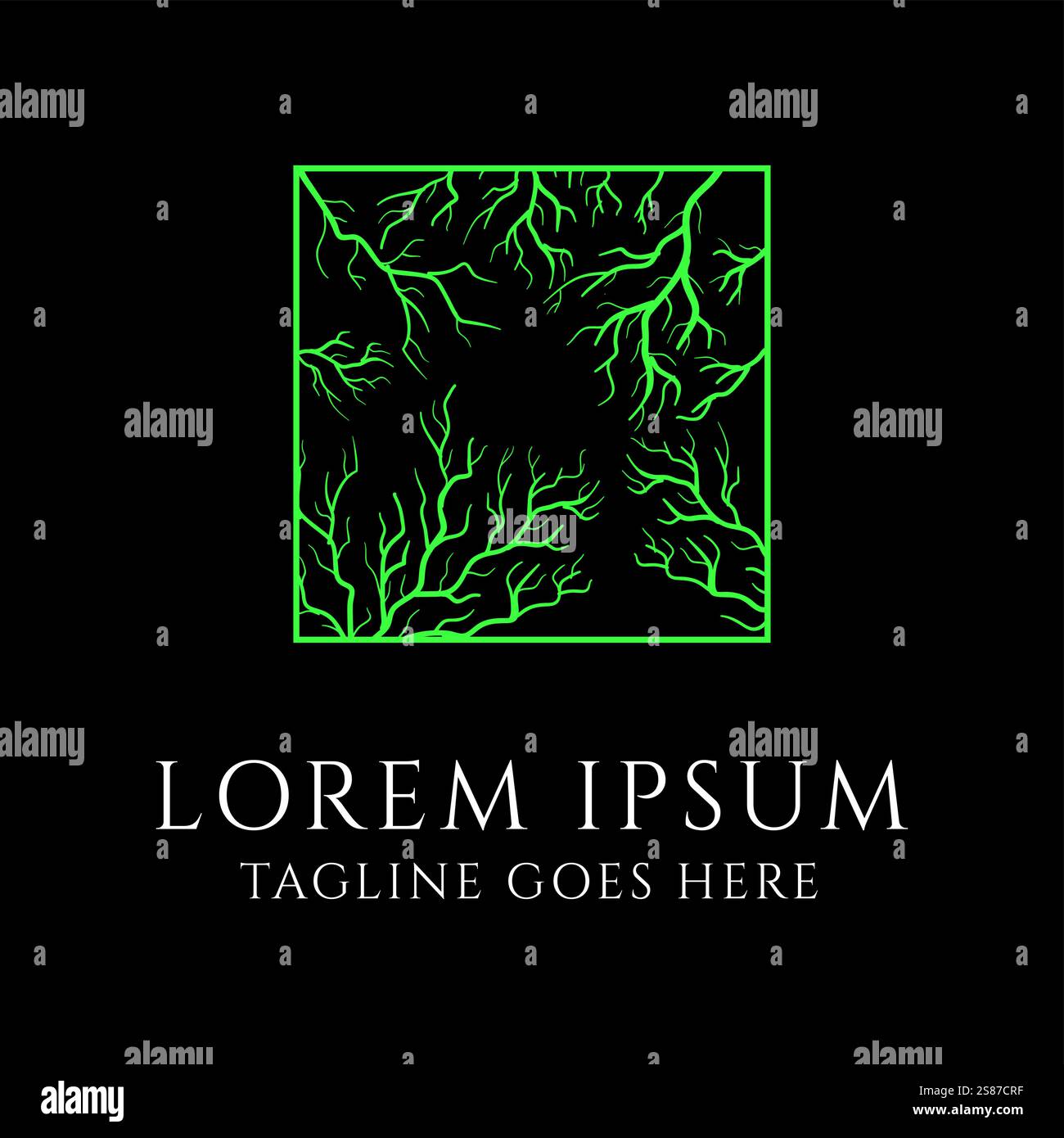 Square Dry Dead Tree Branch Forest for Bio Nature Environment Garden ...