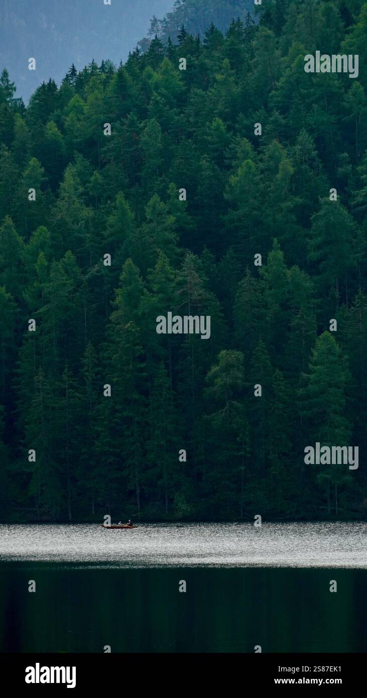 Mountain Lake in Forrest Stock Photo - Alamy