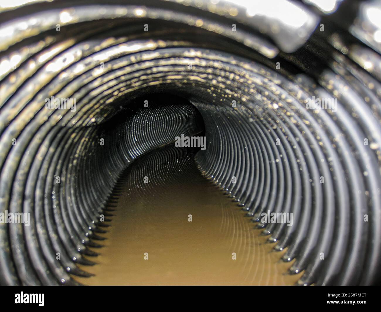 Interior view of corrugated HDPE perforated agricultural drainage tile ...