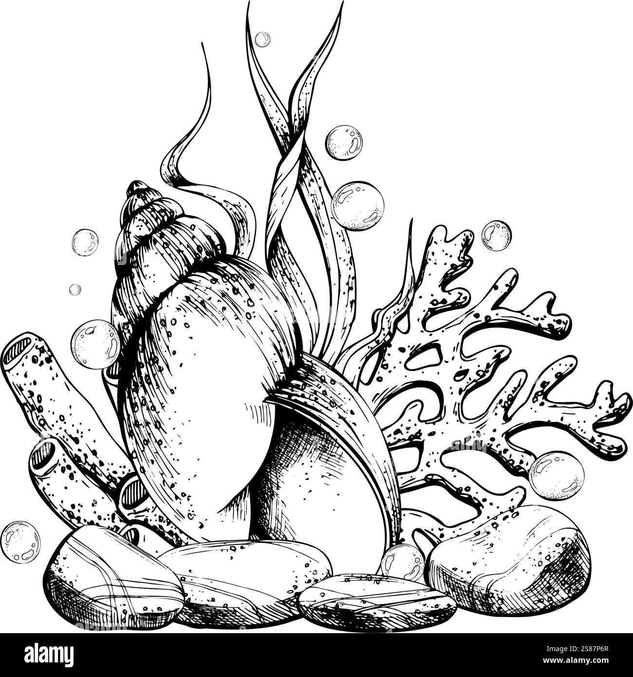 Sea shell, coral, sea sponge, algae, pebbles and bubbles. Hand drawn ...