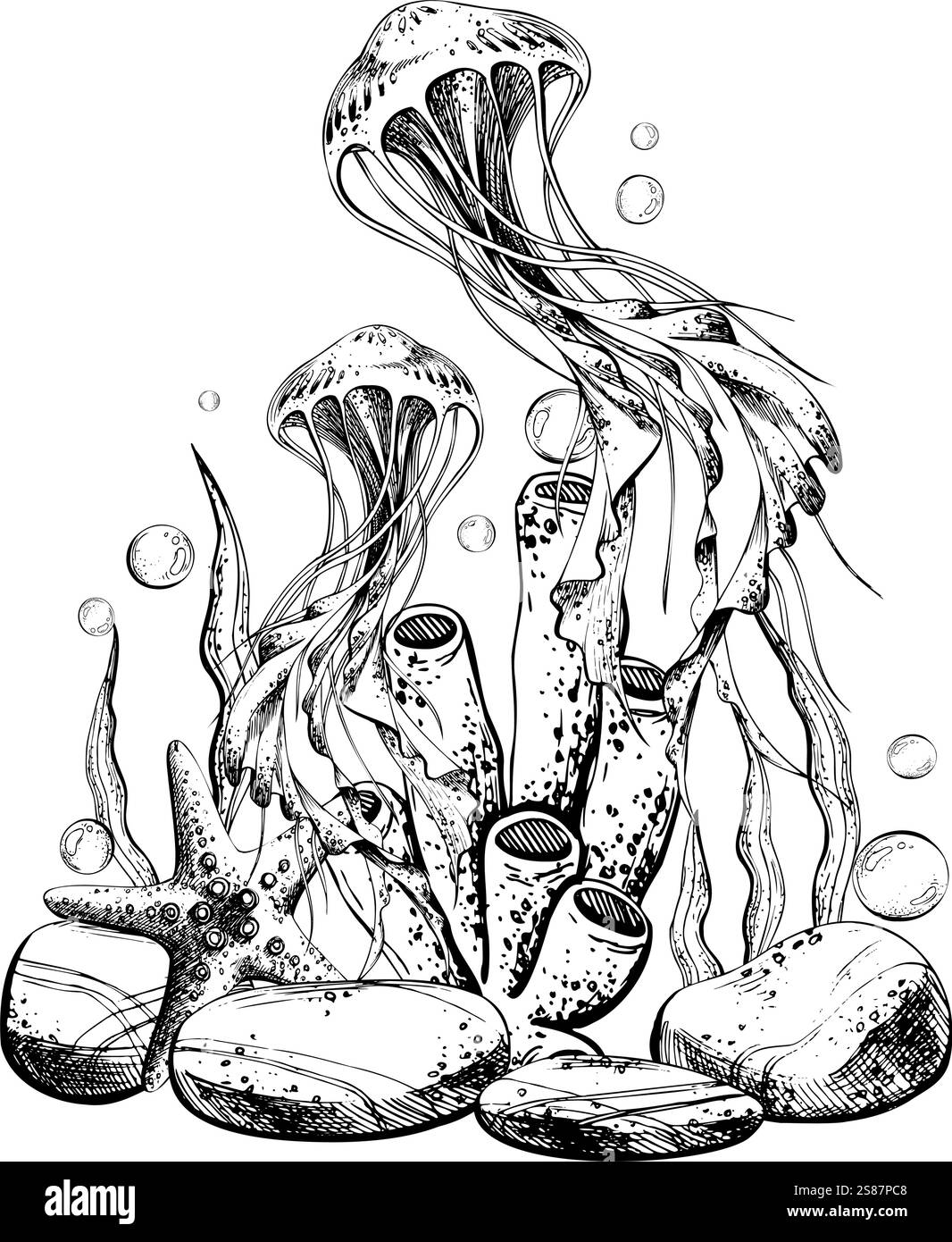 Jellyfish, seashell, coral, starfish, sea sponge, algae, pebbles and ...