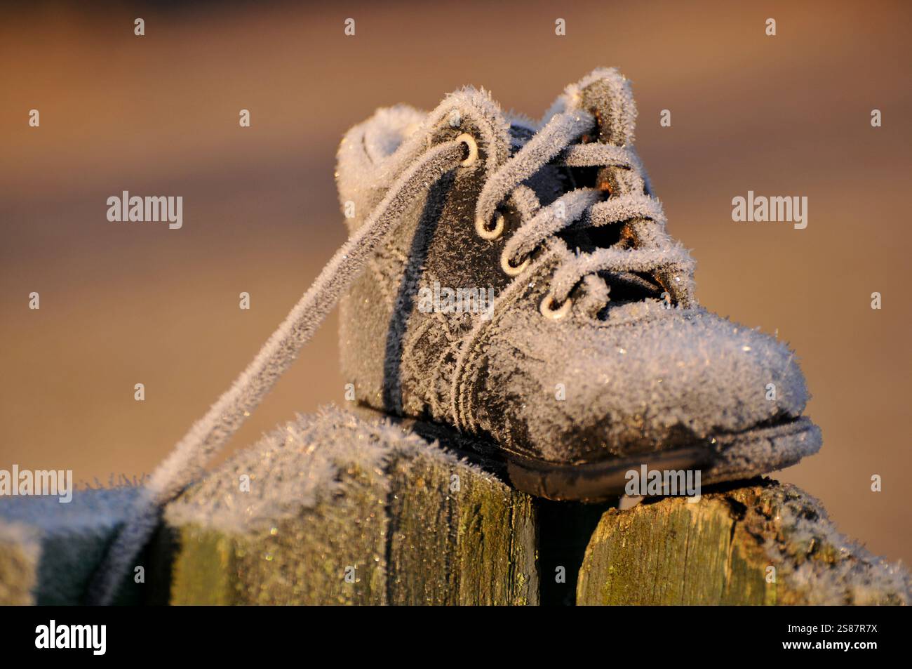 Forgotten shoe hi-res stock photography and images - Alamy