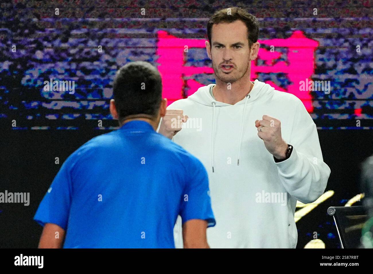 Andy Murray reacts with Novak Djokovic following his win over Carlos ...