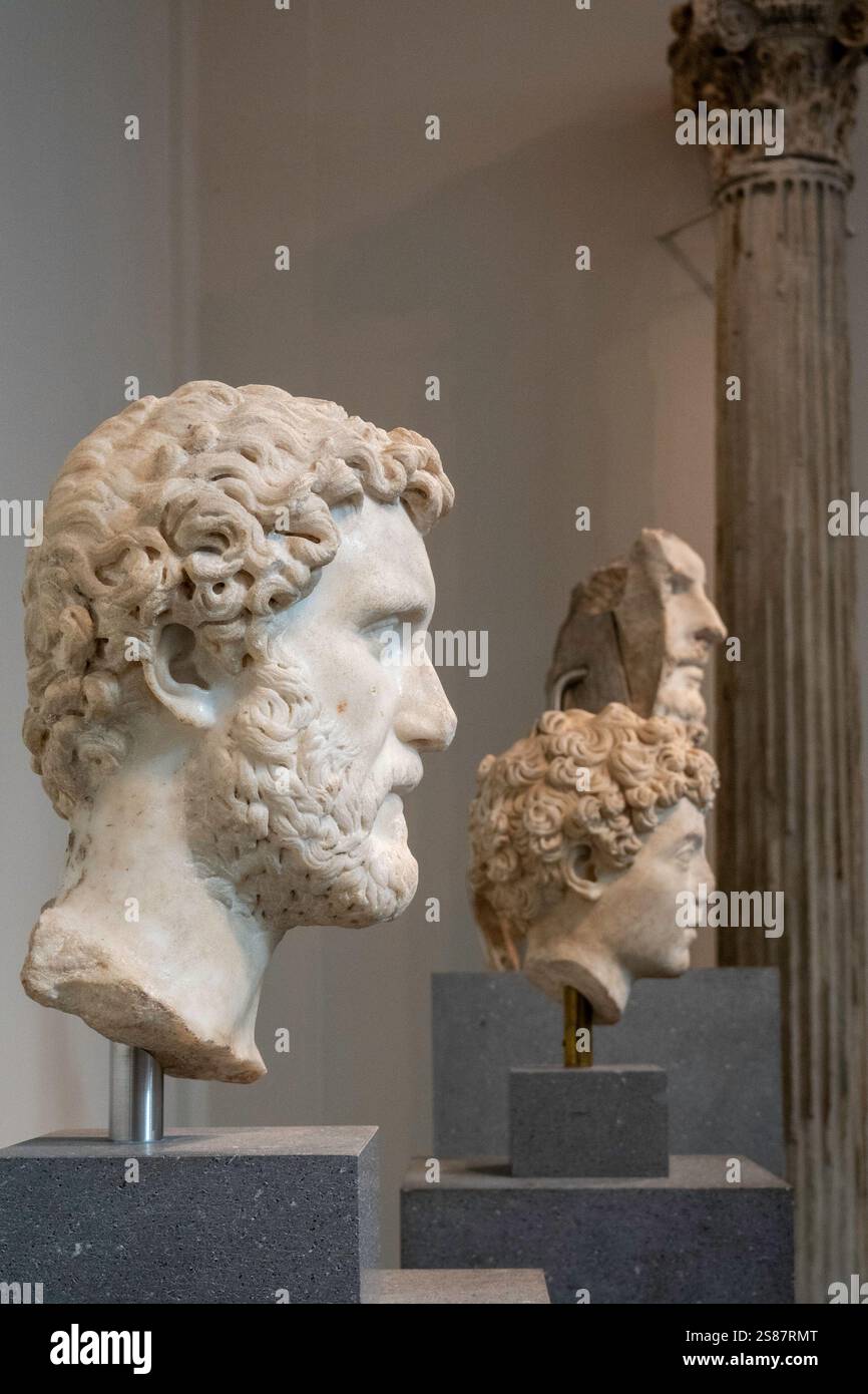 The Greek and Roman Art wing at the Metropolitan Museum of Art contains ...