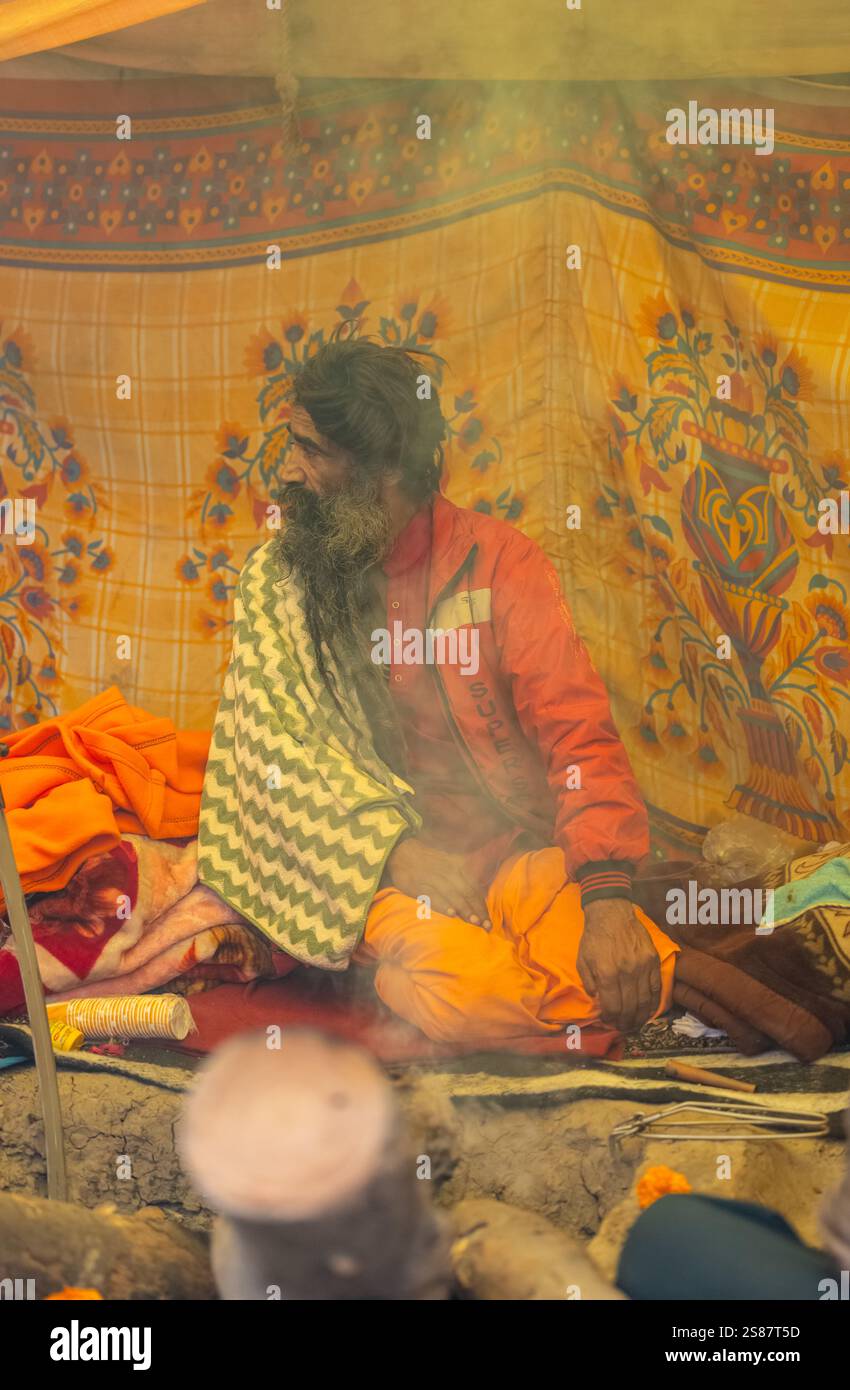 Mahakumbh, Portrait of holy male sadhu baba participating in maha kumbh ...