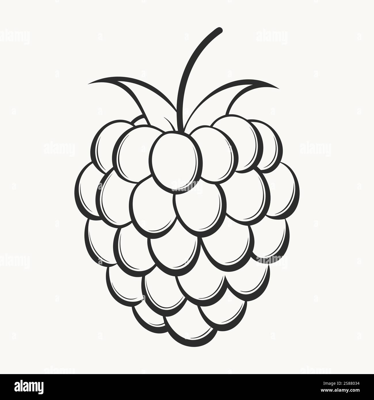 Hand drawn sketch of raspberry. Vintage hand drawn raspberry with ...