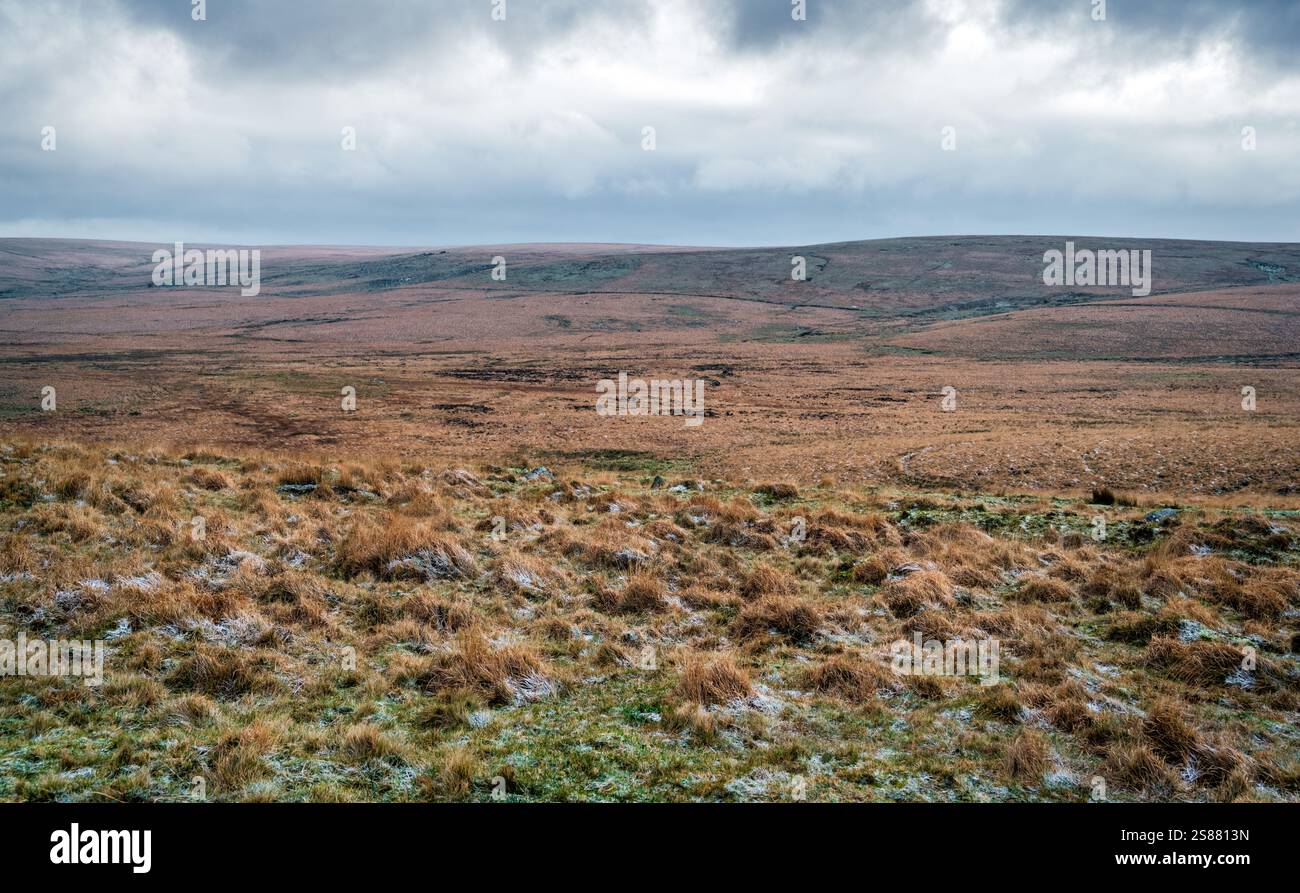 Fox Tor Mire sits on a large granite basin, which prevents water from ...