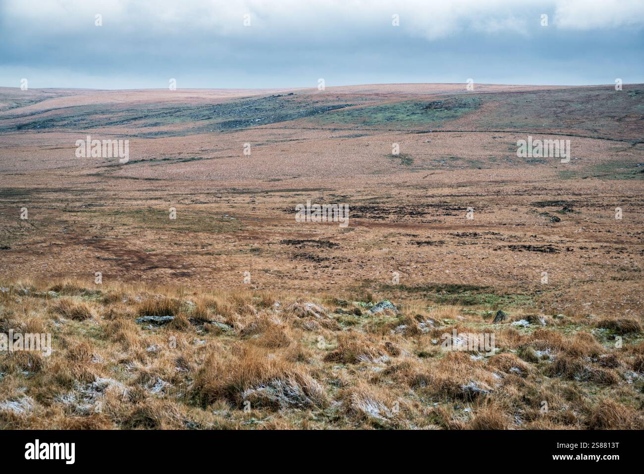 Fox Tor Mire sits on a large granite basin, which prevents water from ...
