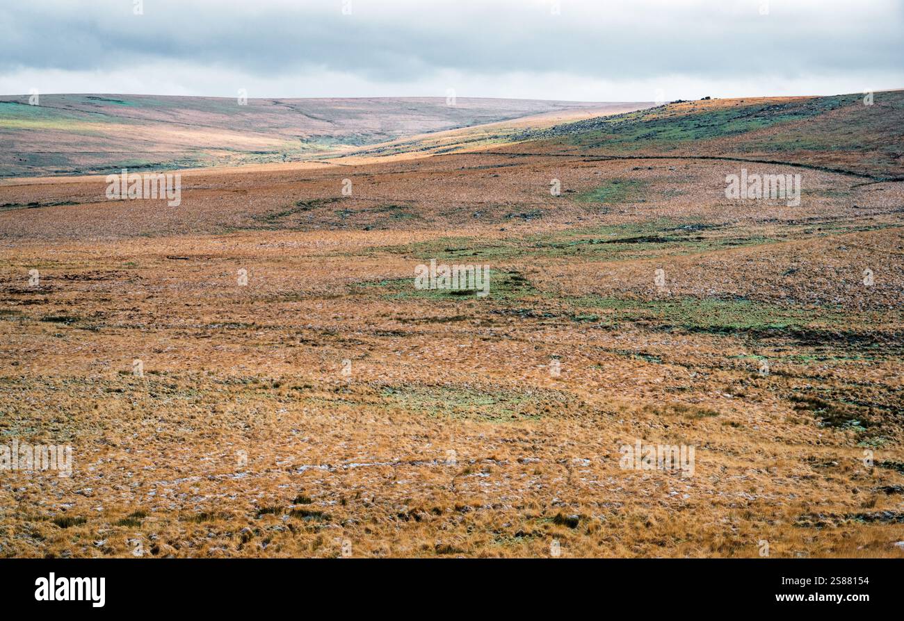 Fox Tor Mire sits on a large granite basin, which prevents water from ...