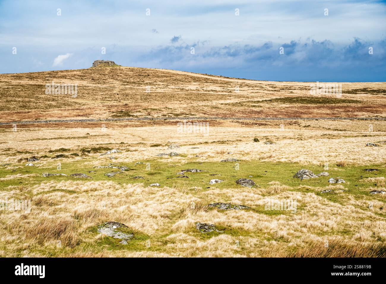 A view of Kes Tor across Chagford Common, seen here from Thornworthy ...