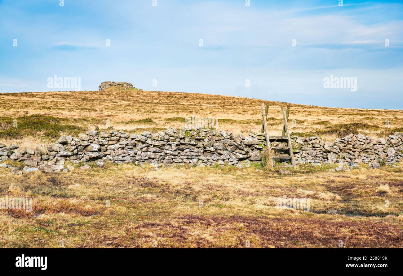 Traditional ladder stile crossing a drystone wall near Kes Tor ...