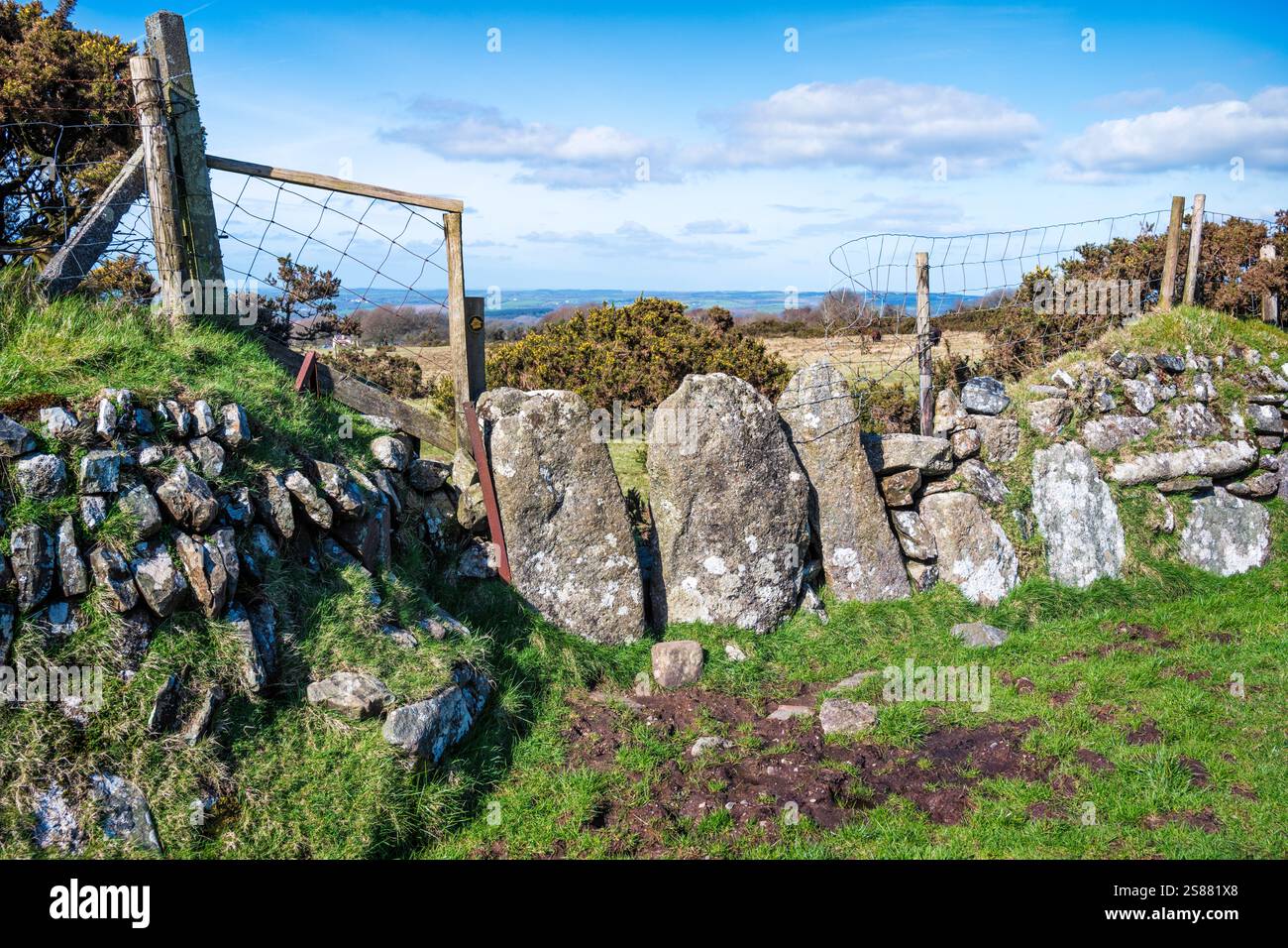 A squeeze stile allowing pedestrian access through a Devon hedgebank ...