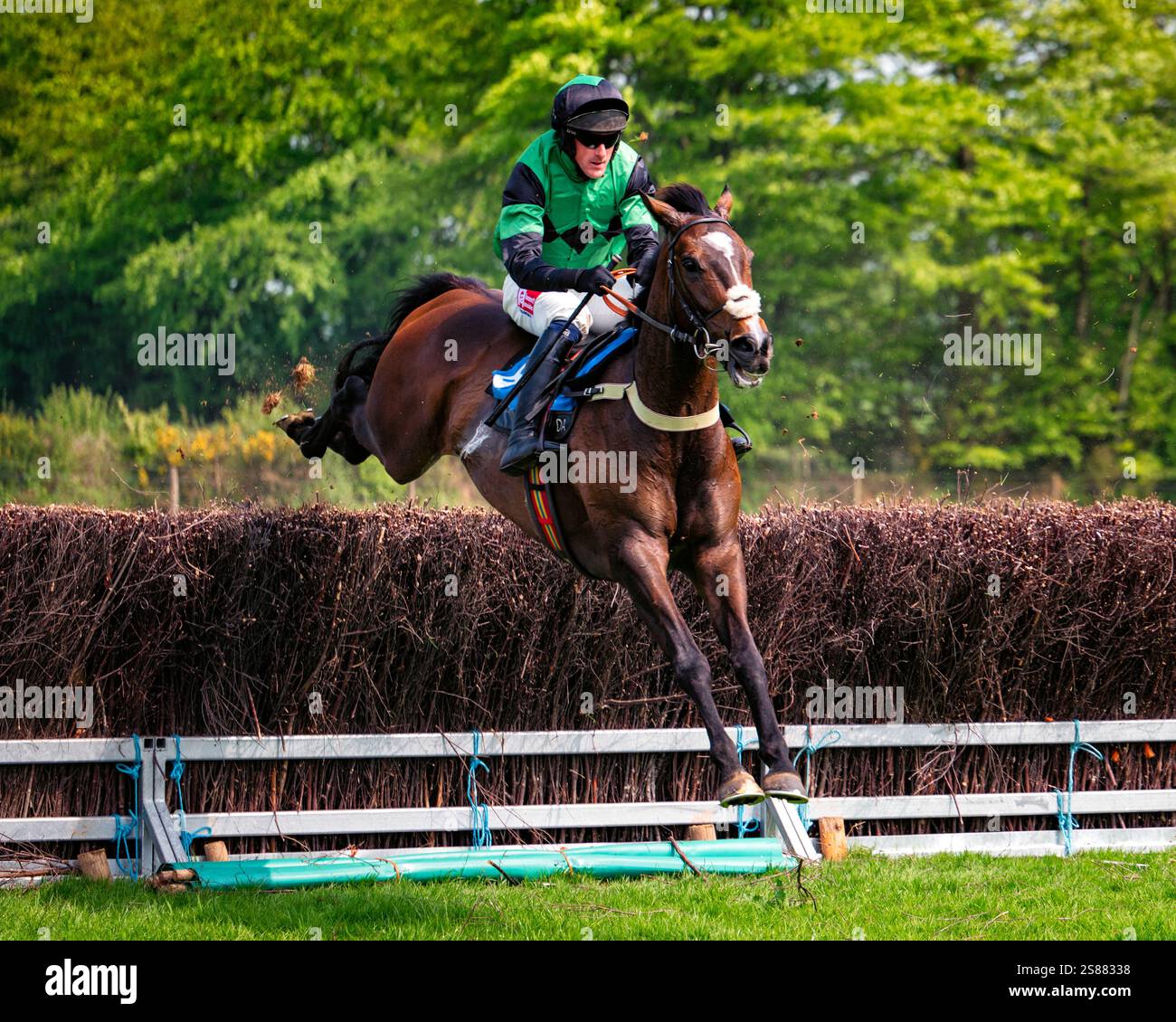 Winning horse, Holkham Hall, with jockey D. Andrews, comes over a jump ...
