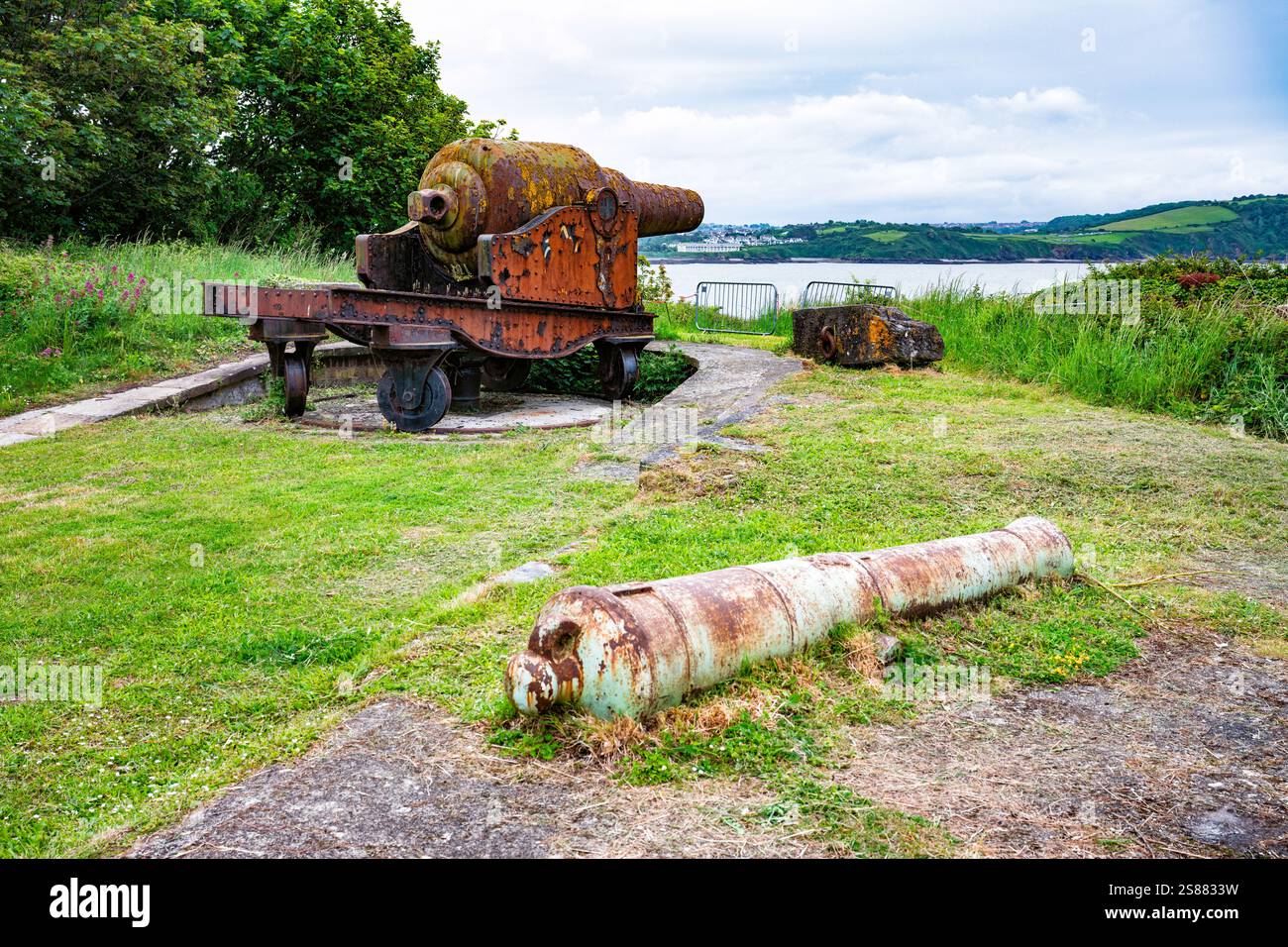 12-inch muzzleloading guns, intended for coastal defence, were ...