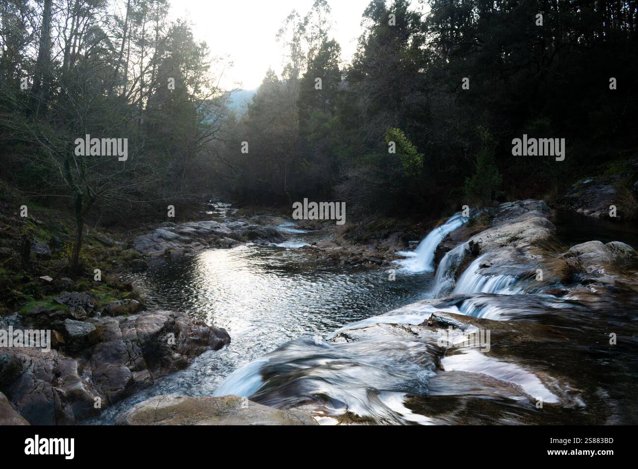 Calm river flowing through the forest with small waterfalls in the ...