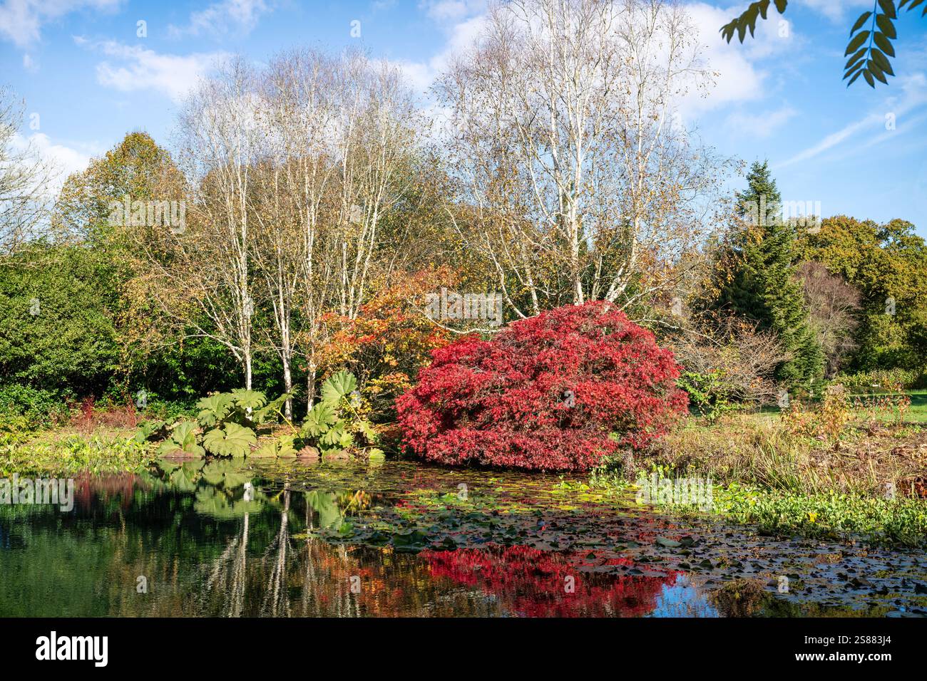 Autumn colours around the late at the Royal Horticultural Society ...