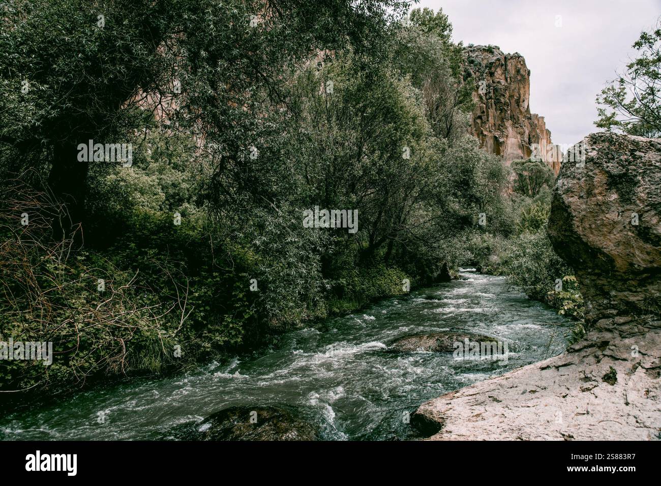 Cappadocia Turkey landscape of the river among the stones, fast flow of ...