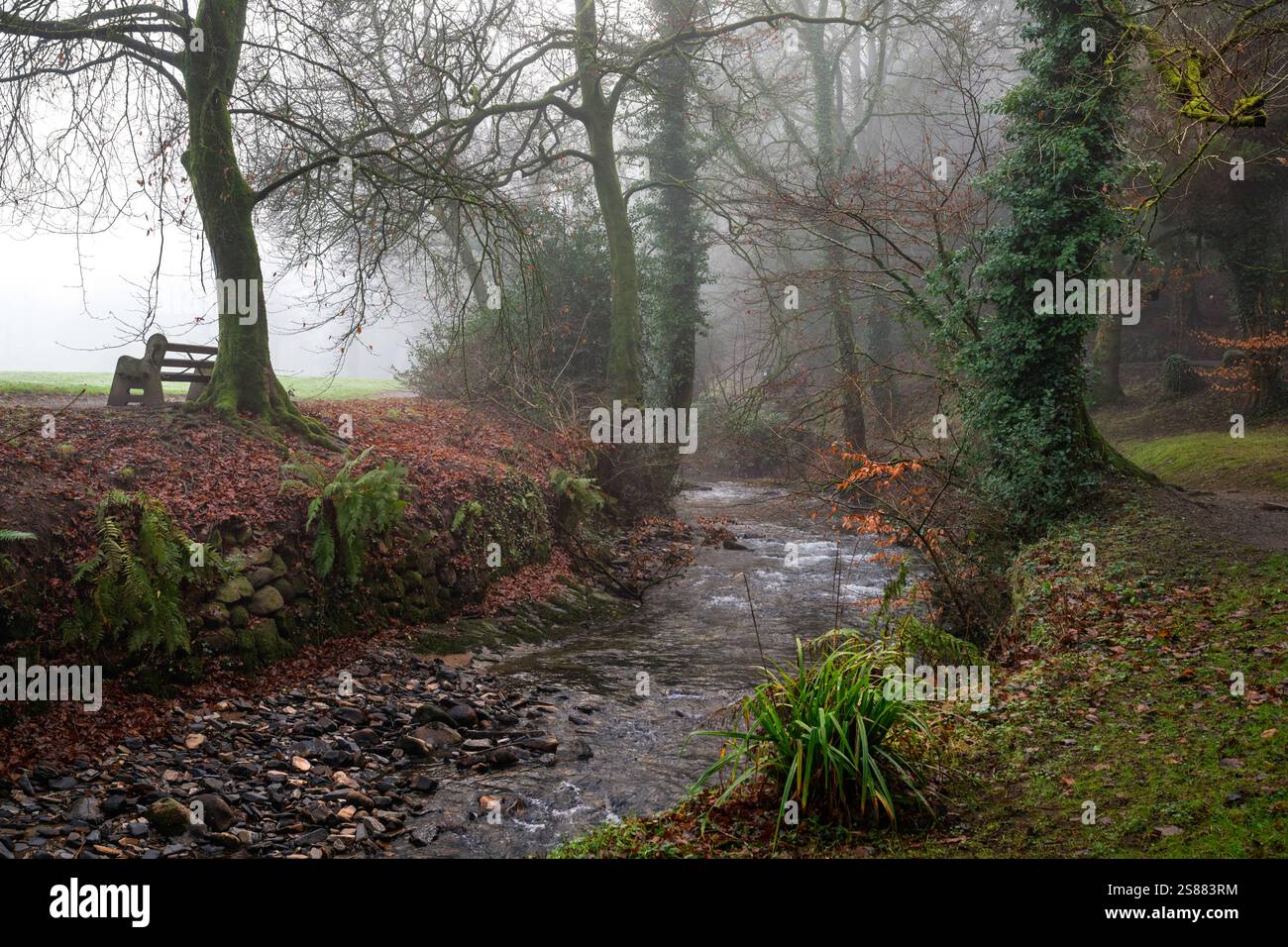 the East Okement River, flowing through Simmons Park on a misty day ...