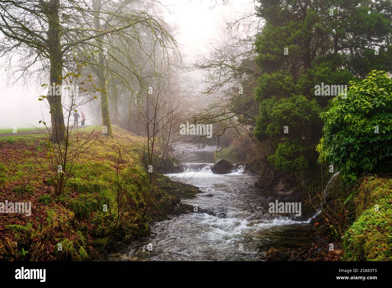 the East Okement River, flowing through Simmons Park on a misty day ...