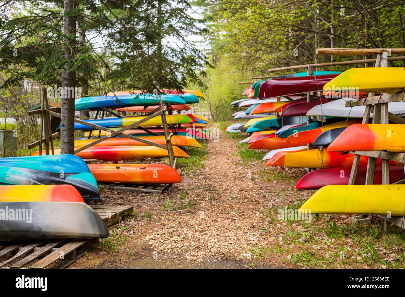 Colorful Kayak boats in Little Tupper area, New York State - USA Stock ...